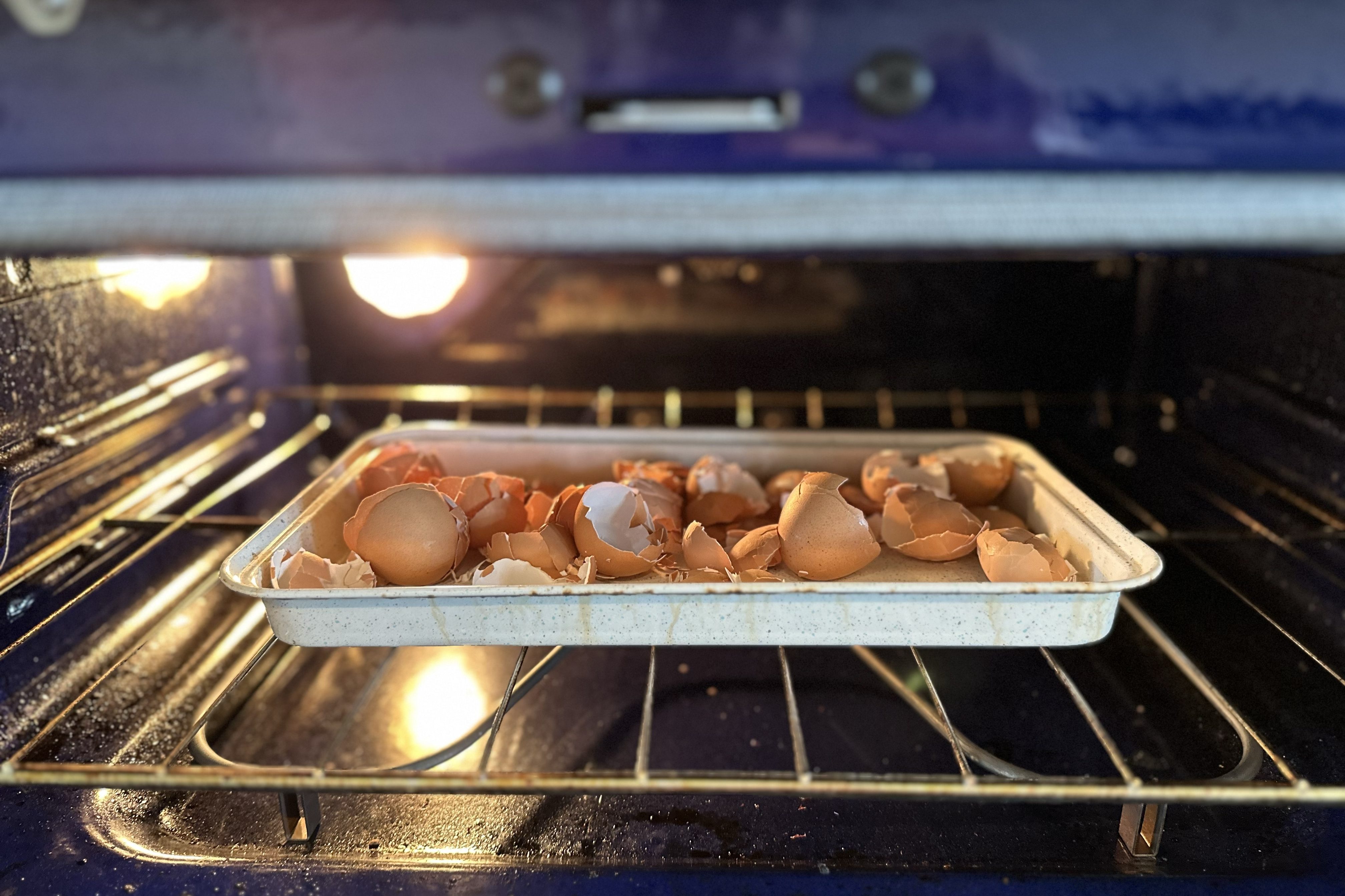 DIY Calcium Supplement for Chickens – Sunrise Chores for Small Animal Farm