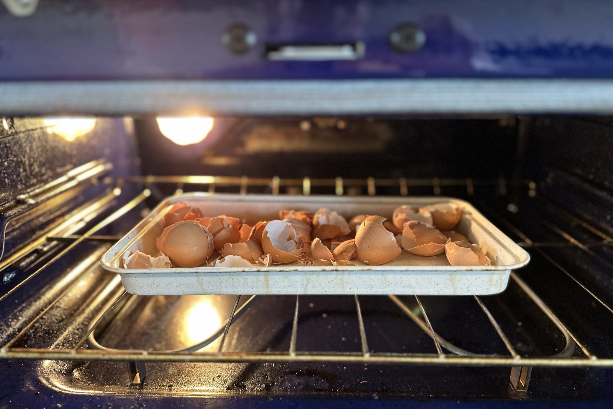 DIY Calcium Supplement for Chickens – Sunrise Chores for Small Animal Farm