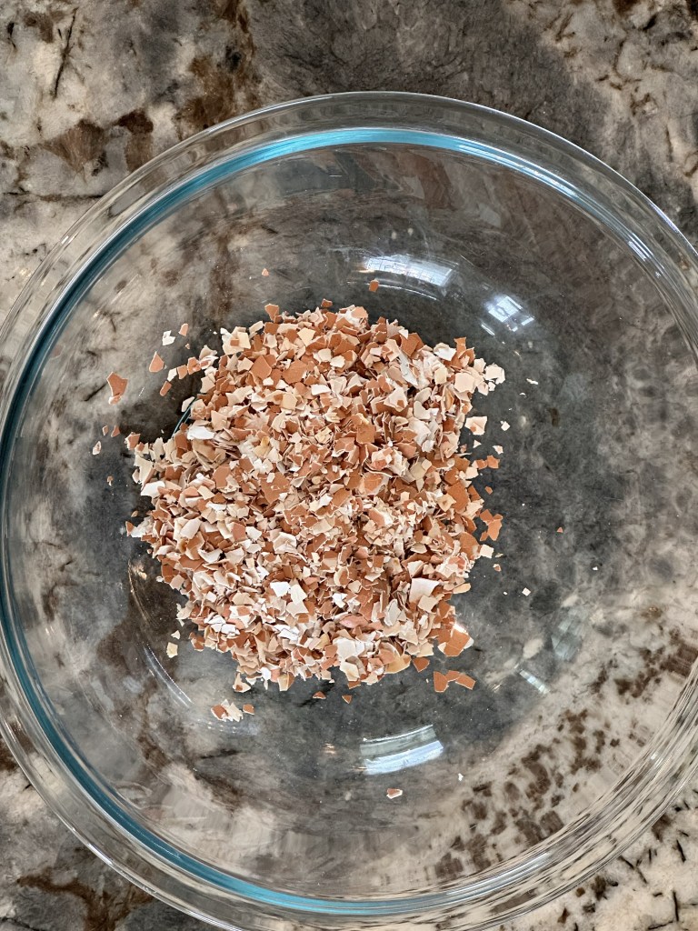 DIY Calcium Supplement for Chickens – Sunrise Chores for Small Animal Farm