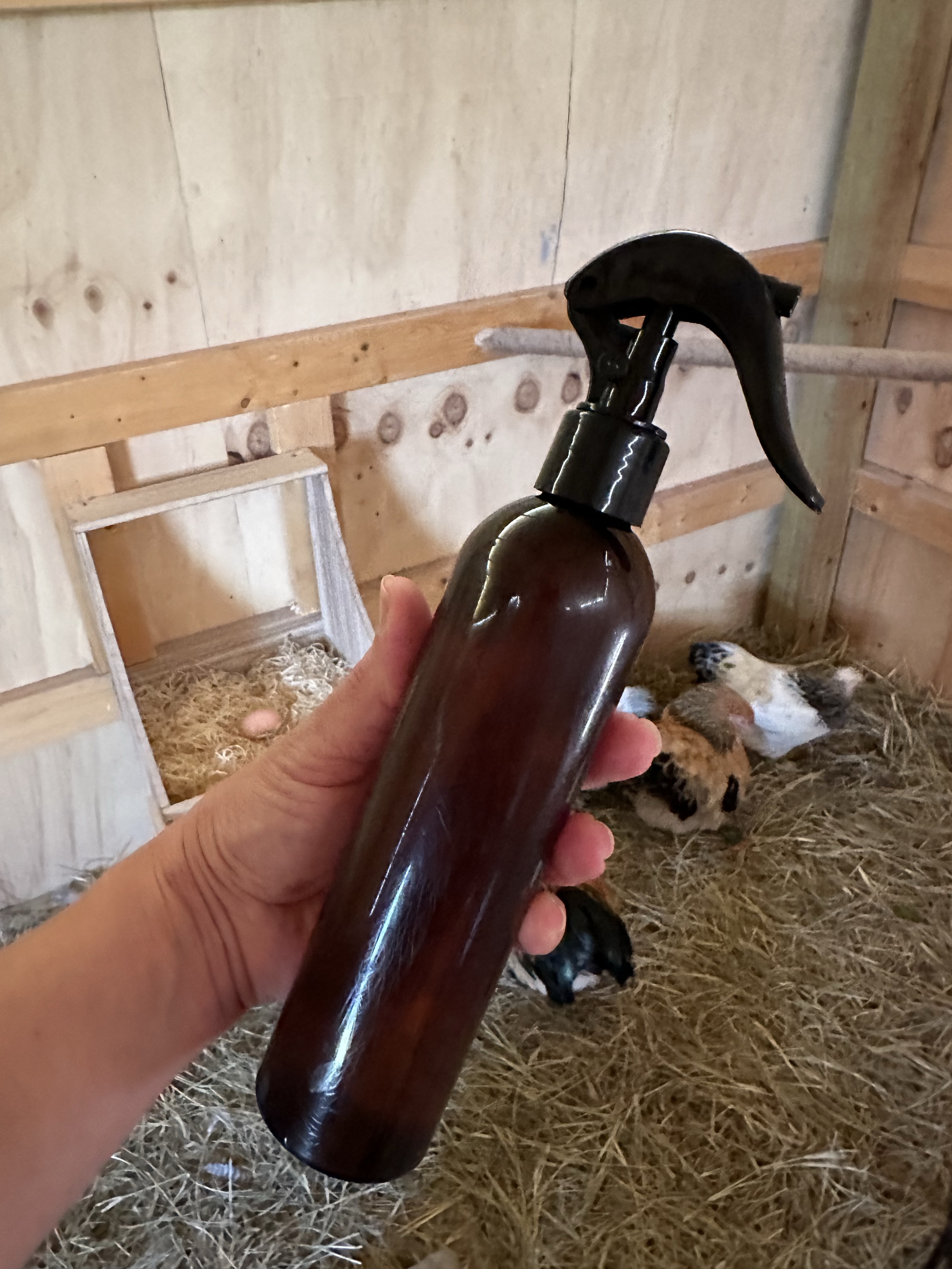 Coop Cleaning Hacks – Sunrise Chores for Small Animal Farm